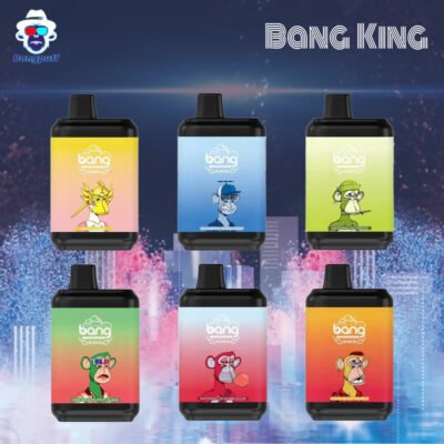 Vapsolo King 10000 Puffs 2% 5% Vapes desechables recargables con bajo ...