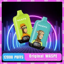 The Best Budget Options: Affordable Waspe Disposable Vapes - ESCO VAPE